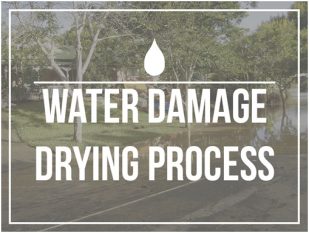 Water Damage Drying Process
