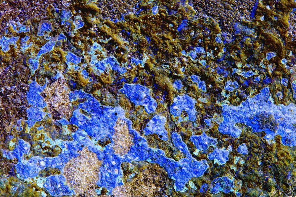 Mold Growth and Prevention