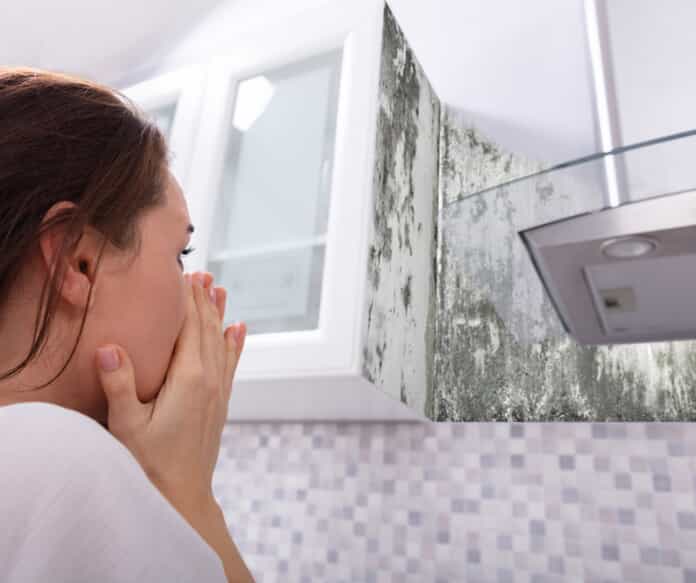 MOLD. What is it and how do deal with it.