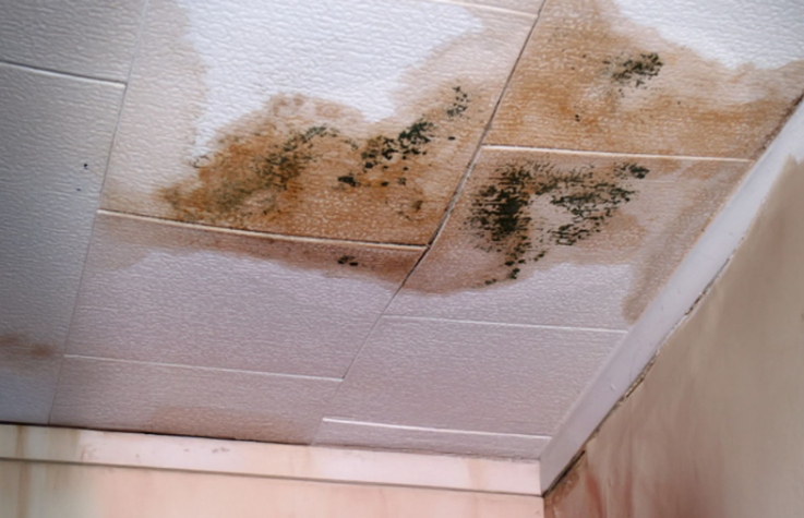 Mold from Ceiling Leak | Water Damage Experts – Stop Restoration
