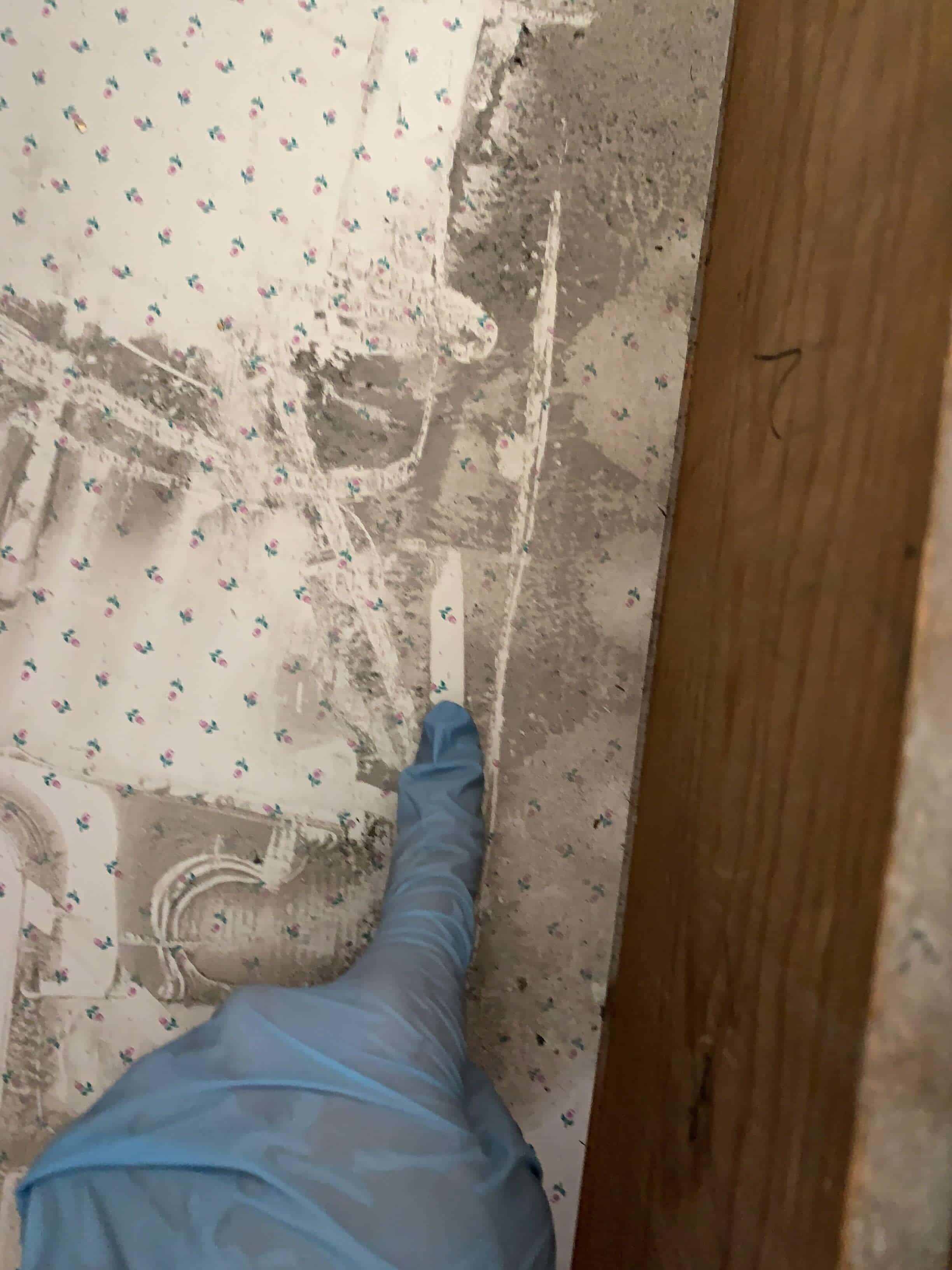 Understanding the Impact of Smoke Damage